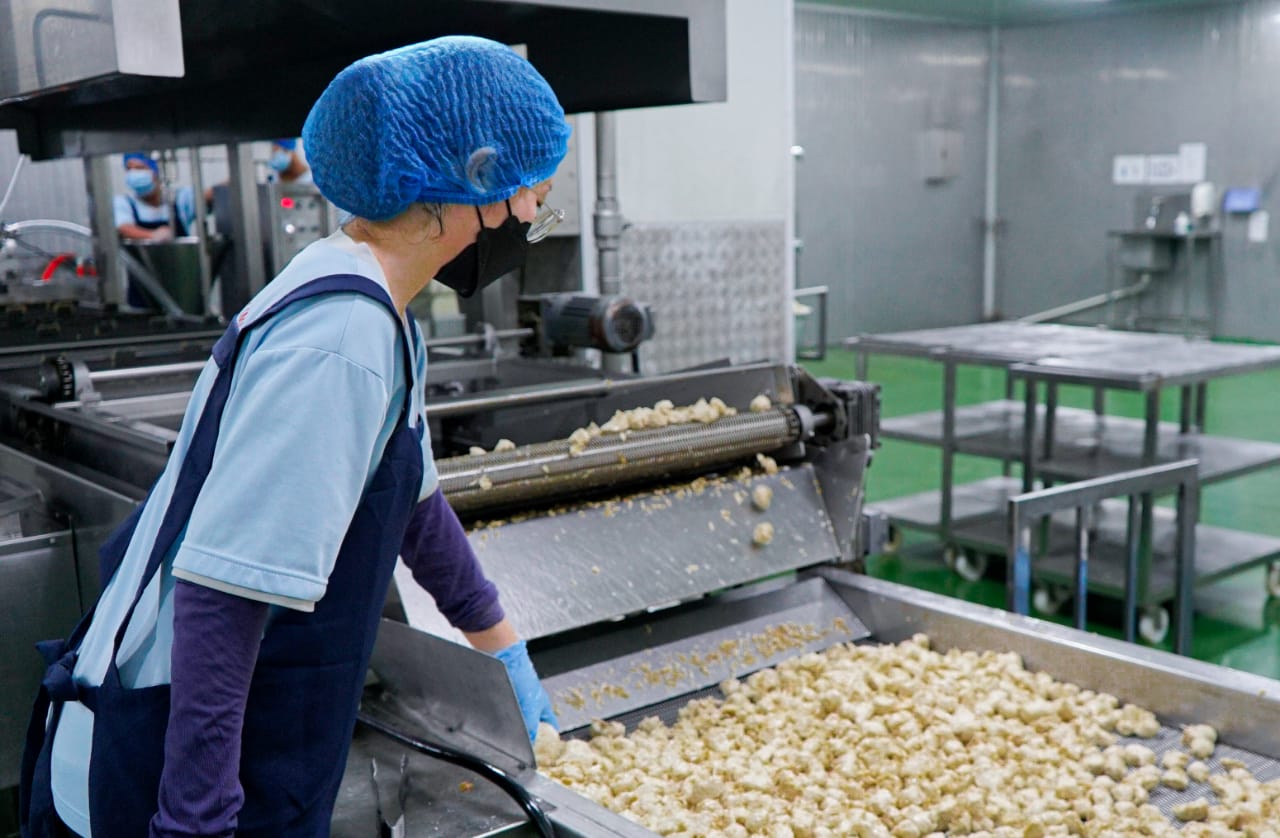 Co-Manufacturing – Plantex